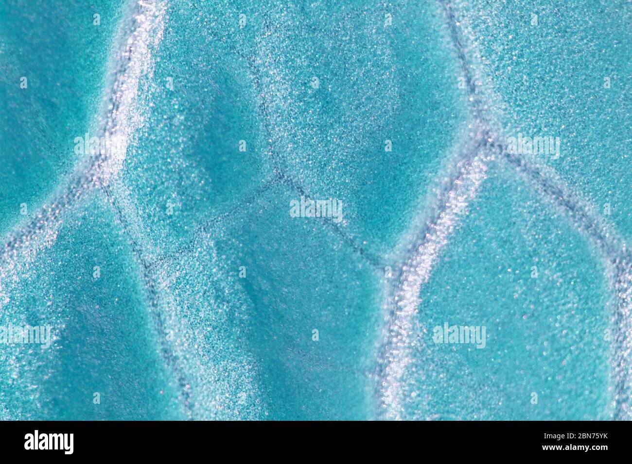 juicy green plant cells under the microscope Stock Photo - Alamy