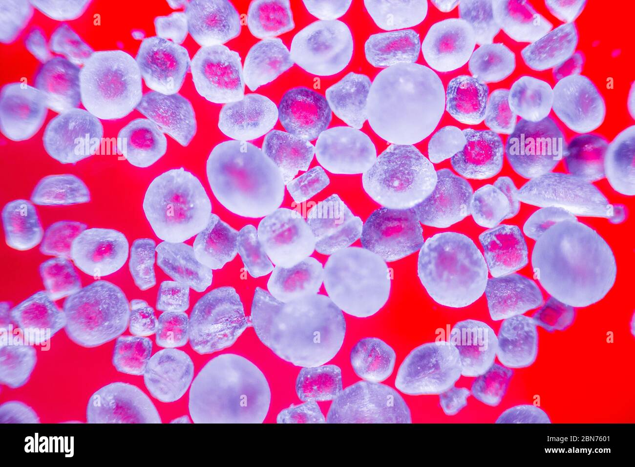 amazing salt crystals under the microscope Stock Photo - Alamy amazing salt crystals under the microscope Stock Photo - Alamy