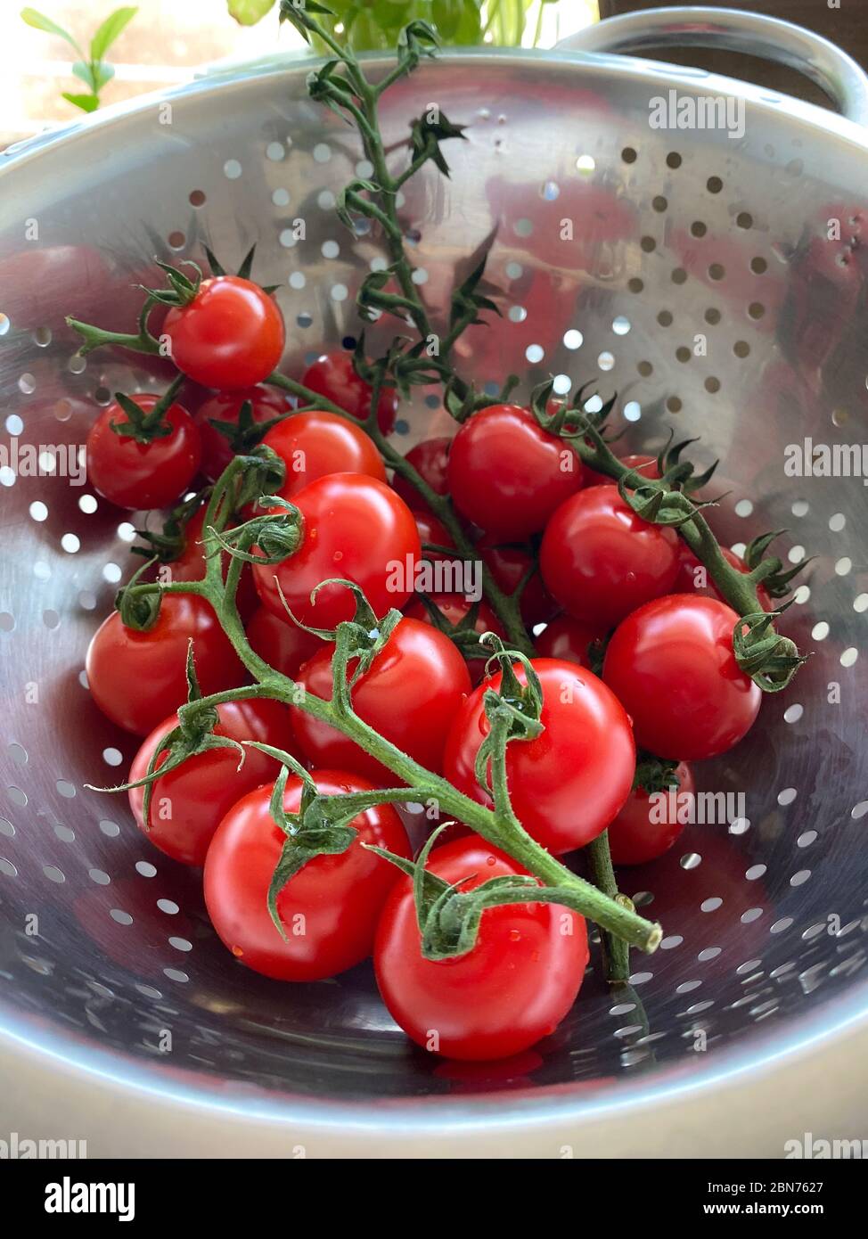 Fresh Cherry Tomatoes on The Vine - Top View ready to add to a salad ...