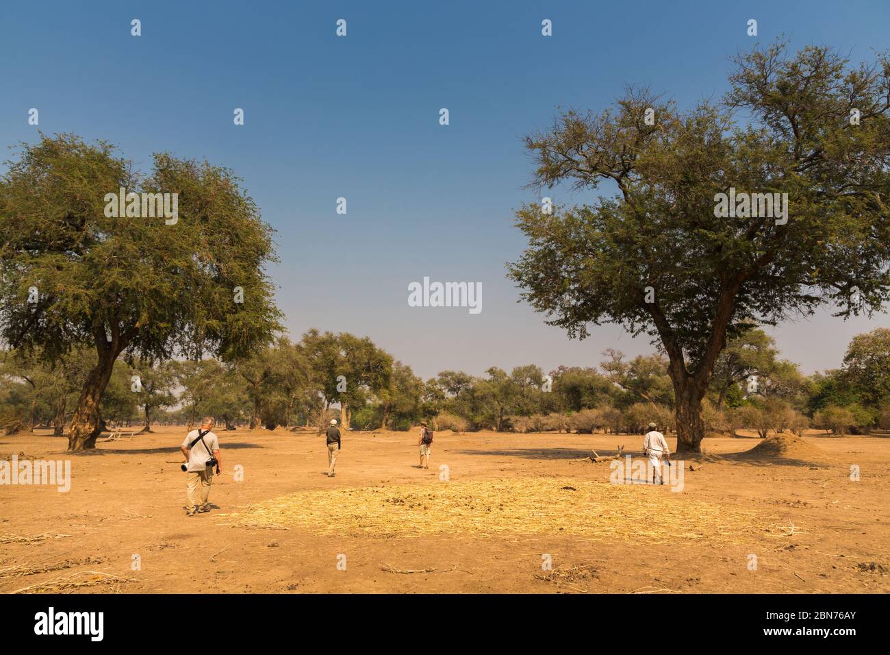 Mana Pools National Park, Zimbabwe Stock Photo - Alamy