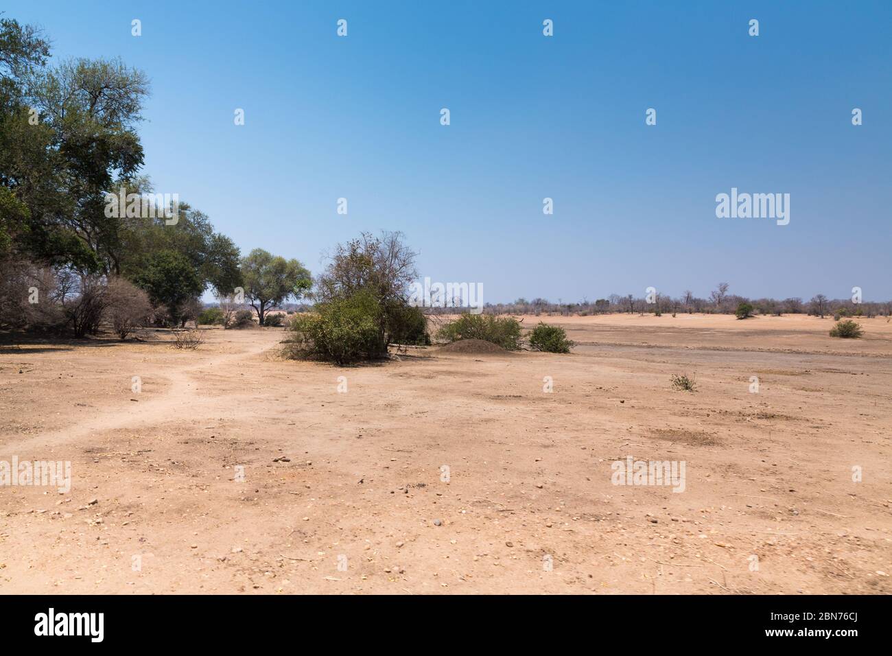 Mana Pools National Park, Zimbabwe Stock Photo - Alamy