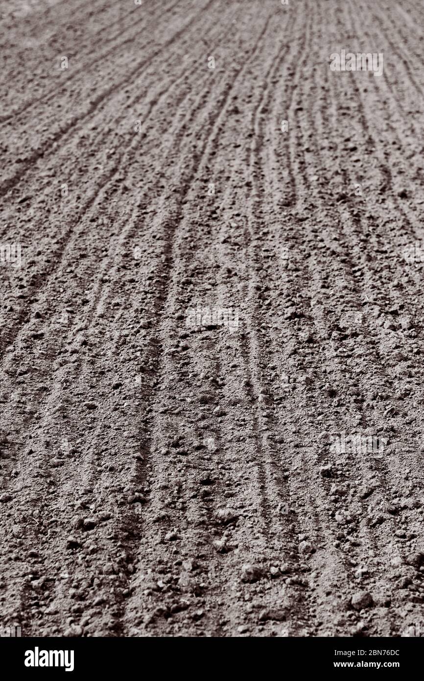 Grooves and furrows hi-res stock photography and images - Alamy