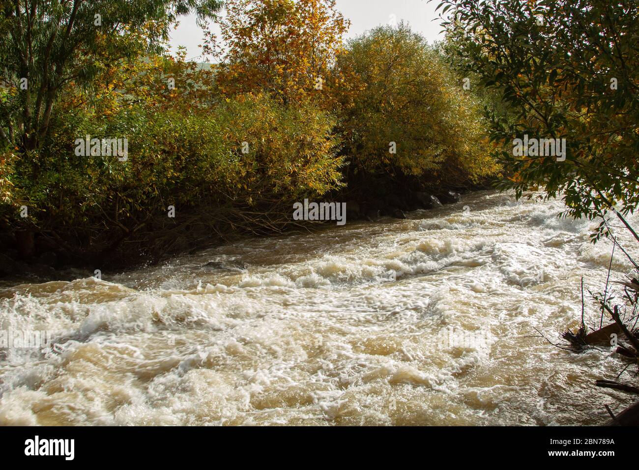 Israel, the Jordan river flows into the Sea of Galilee from the north ...