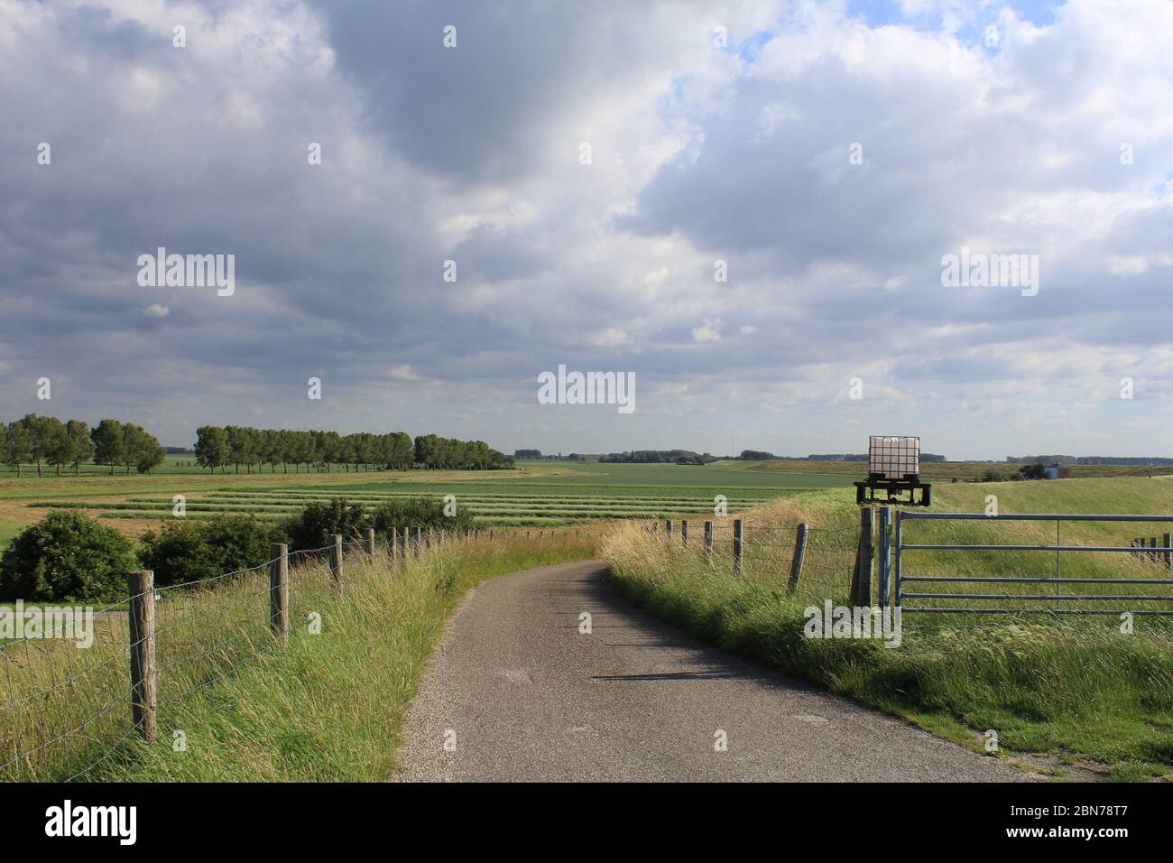 aerial view at the green agricultural fields seen from a dike crossing ...