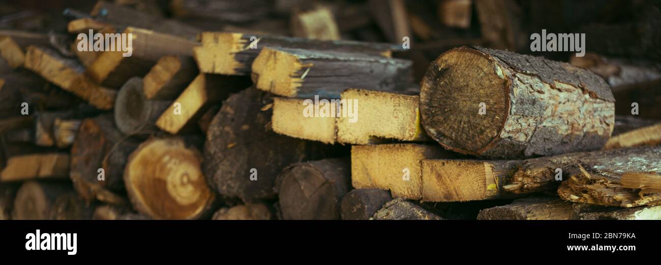 Different types of wood harvested for winter. Firewood in the barn ...