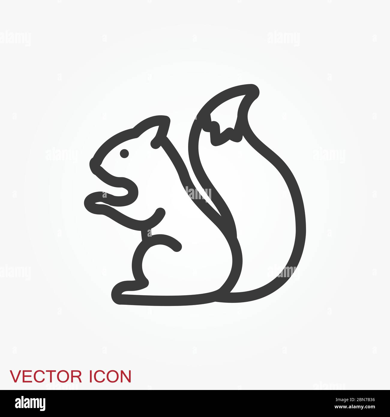 Squirrel logo isolated on hi-res stock photography and images - Alamy