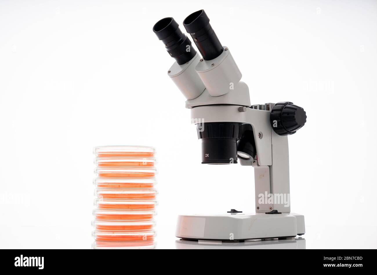 microscope, petri dishes in microbiological laboratory Stock Photo - Alamy