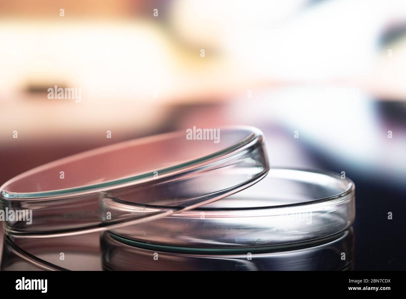 Empty petri dish with lid in laboratory Stock Photo - Alamy