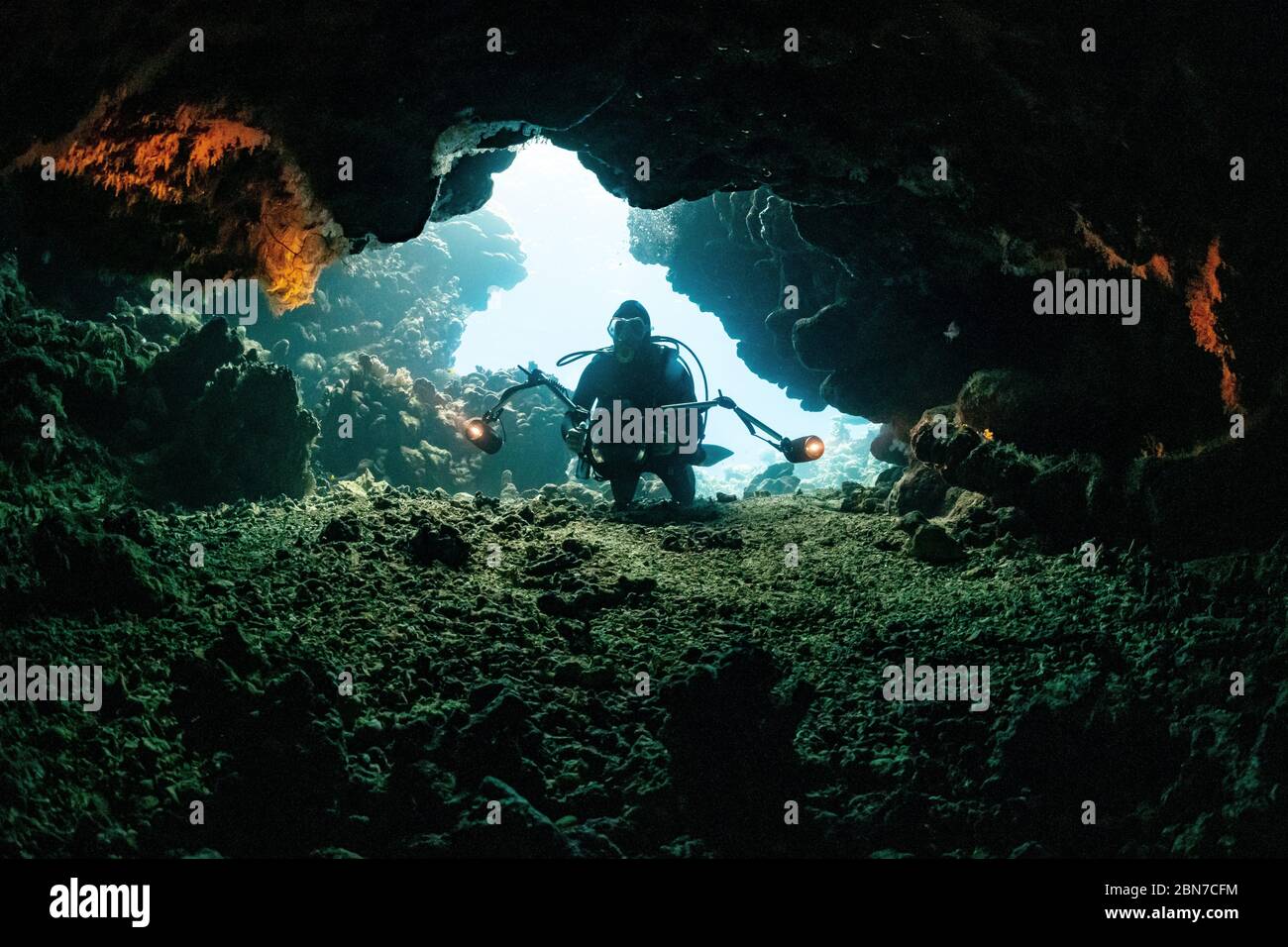 Cave biodiversity hi-res stock photography and images - Alamy