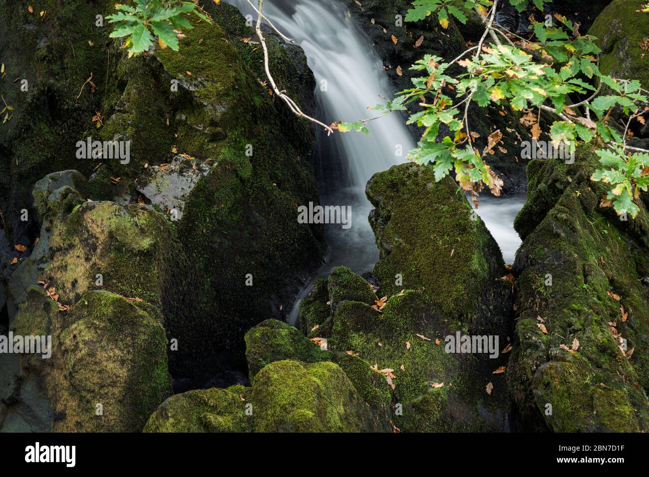 Colwith force hi-res stock photography and images - Alamy