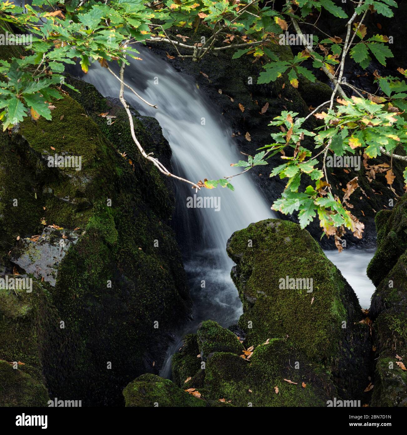Colwith force hi-res stock photography and images - Alamy