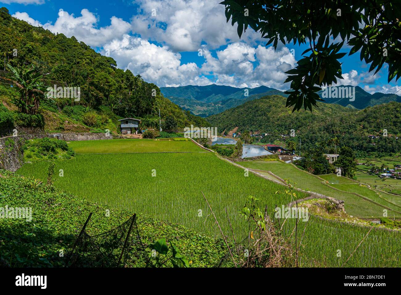 Farm houses in the Banaue rice terrace at hungduan rice terraces ...