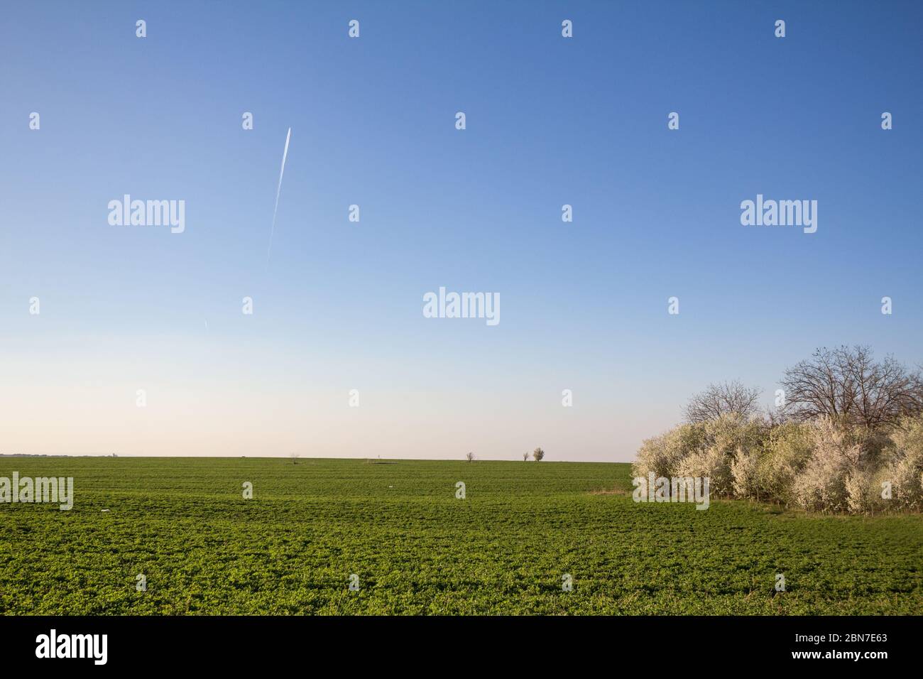 Set aside field hi-res stock photography and images - Alamy