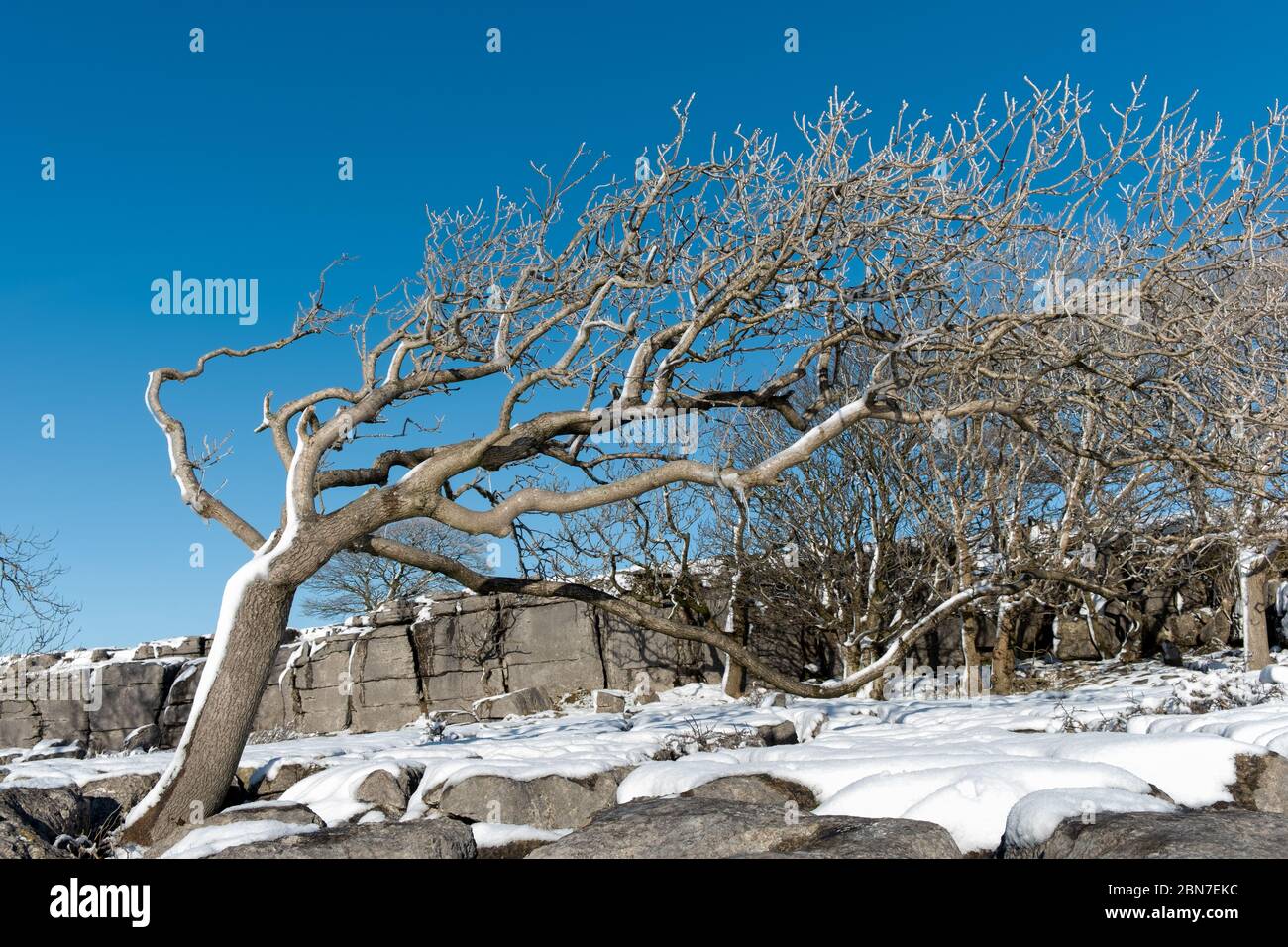 Snow - Farleton Knott, Cumbria Stock Photo - Alamy