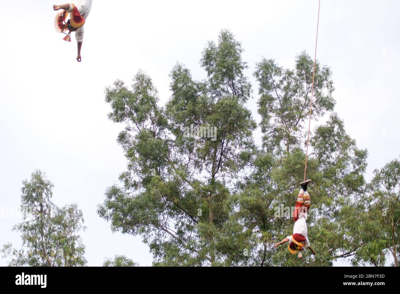 'Danza de Los Voladores', Ritual Ceremony of the Voladores, Cultural ...