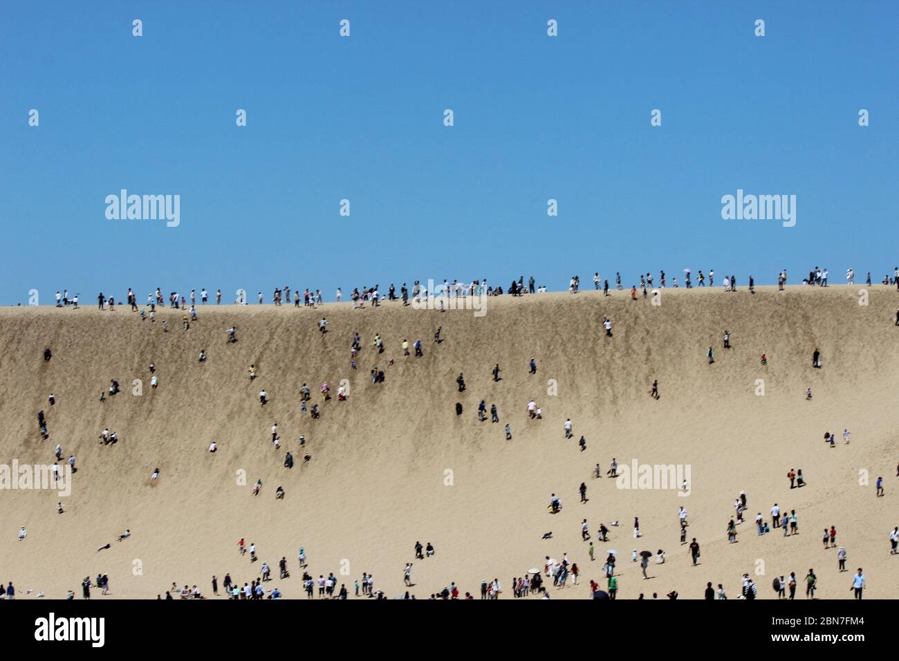 Tottori Sand Dunes, tottori, Japan Stock Photo - Alamy