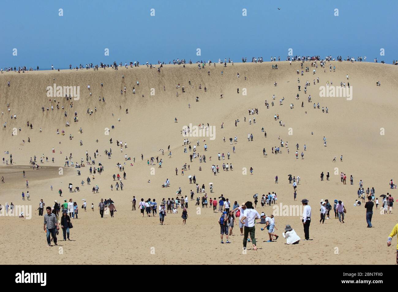 Tottori Sand Dunes, tottori, Japan Stock Photo - Alamy