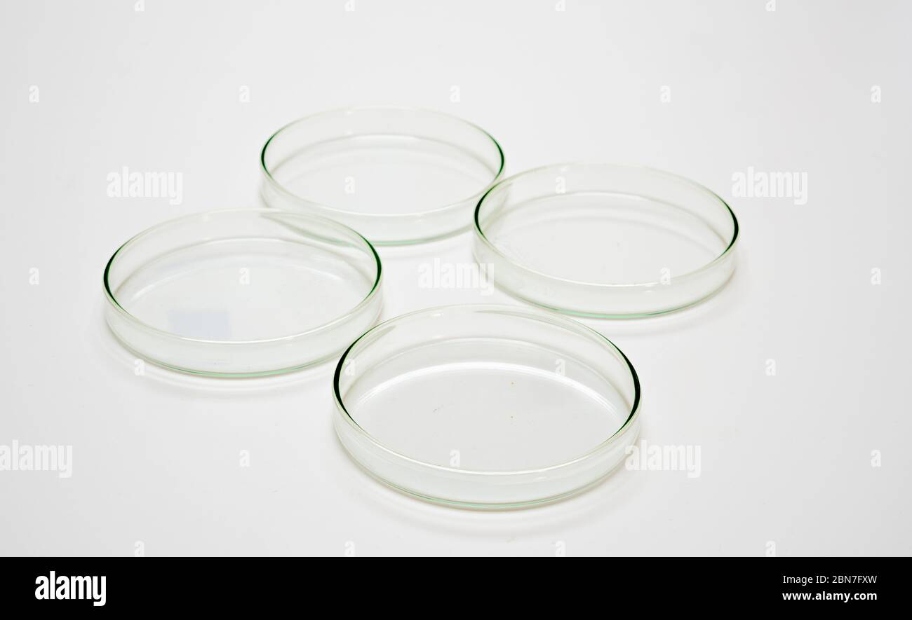 Empty petri dishes on white background Stock Photo - Alamy
