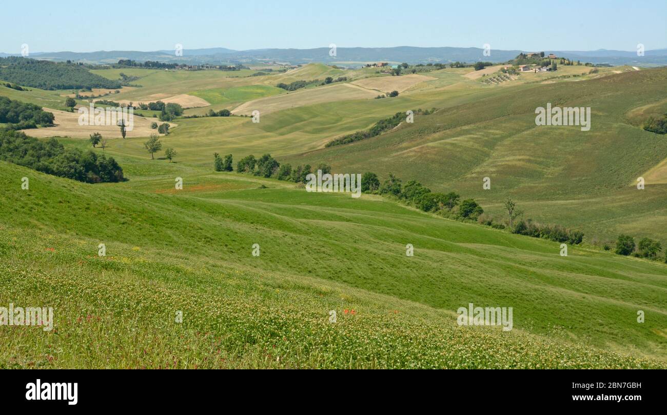 Impressive landscape of the Crete Senesi, Tuscany Stock Photo - Alamy