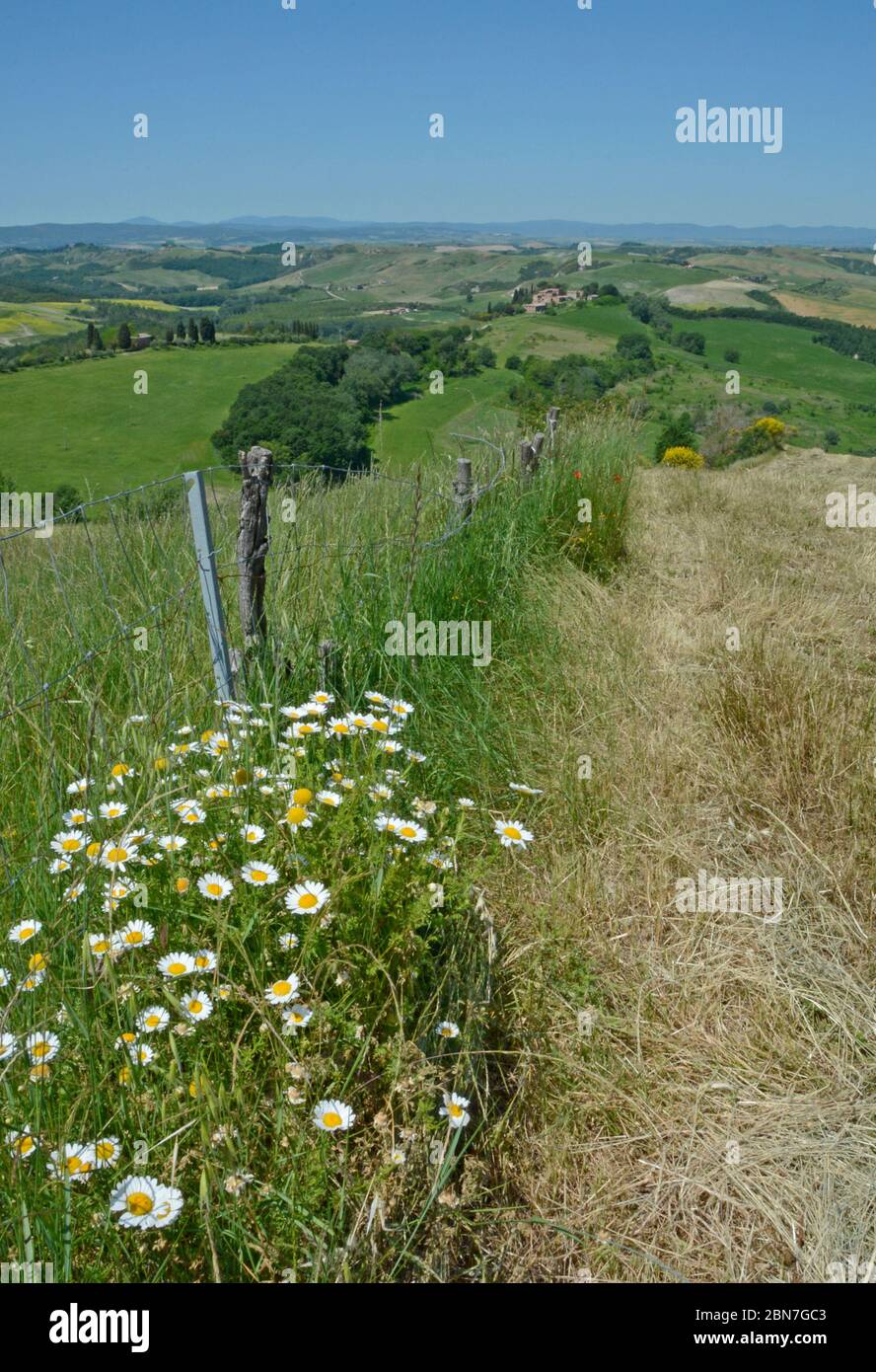 Toscana crete senesi hi-res stock photography and images - Alamy