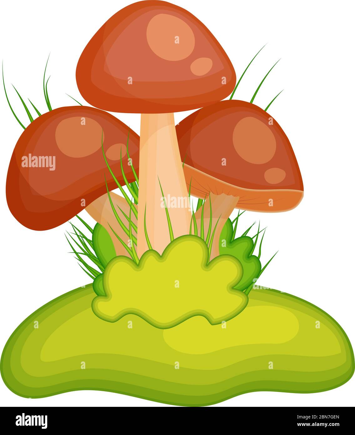 Cartoon mushroom with grass Stock Vector Image & Art - Alamy