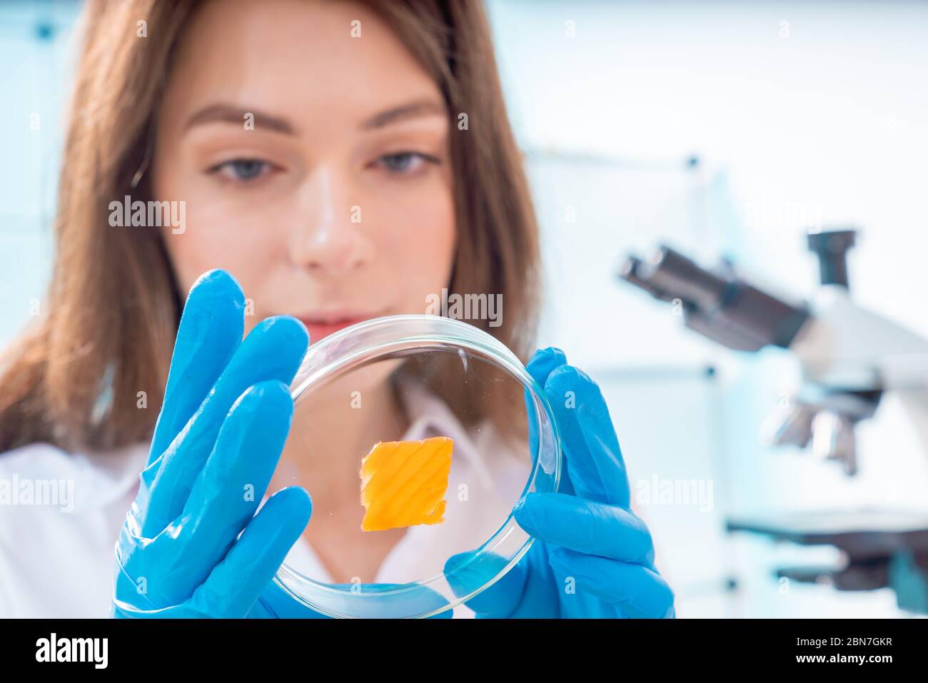 Inspection of meat and fish quality in the food quality laboratory ...