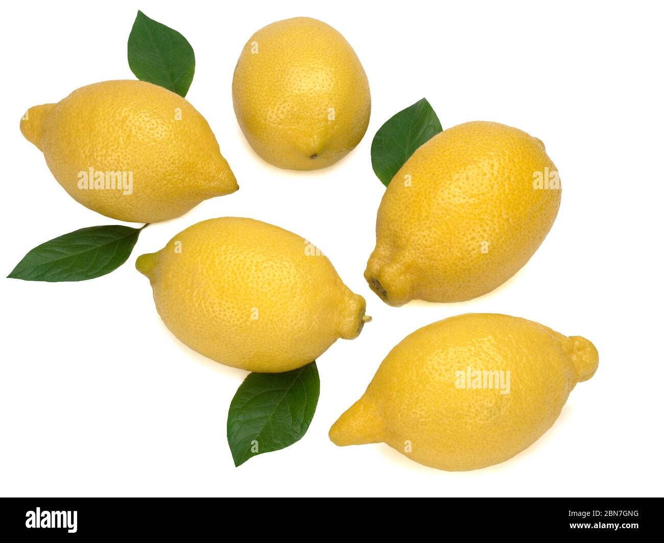 Five whole yellow lemons with green leaves isolated on white background ...