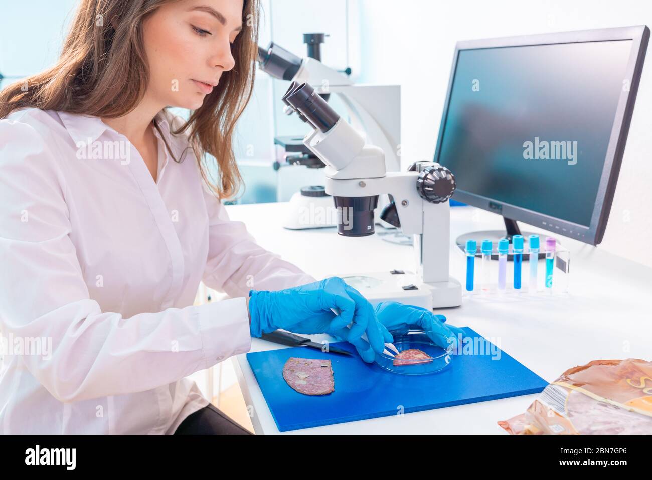 Inspection of meat and fish quality in the food quality laboratory ...