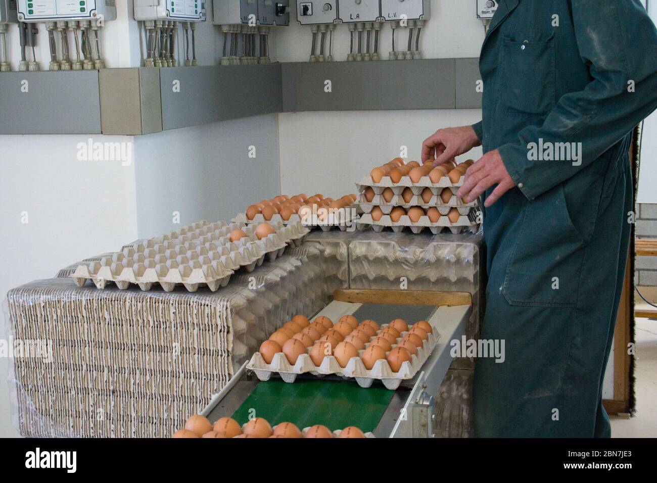 Chicken packing tray hi-res stock photography and images - Alamy