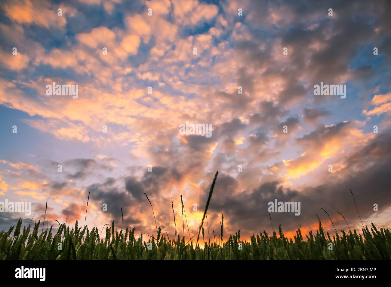 Green fields with dramatic clouds hi-res stock photography and images ...