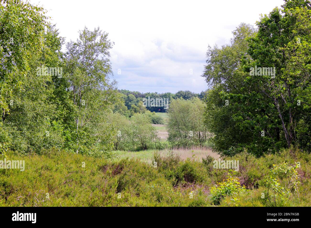 North German beautiful natural landscape in Lower Saxony Stock Photo ...
