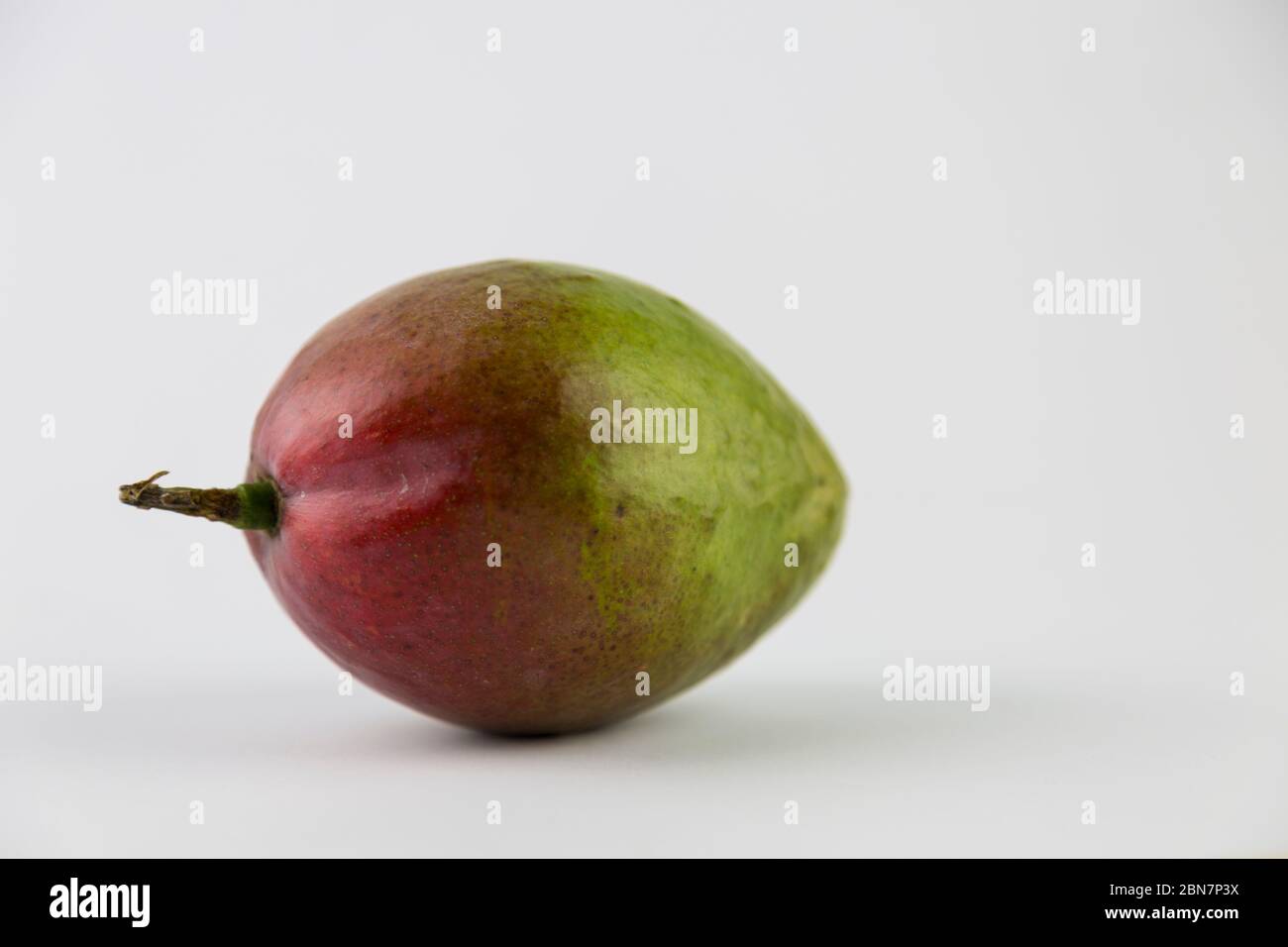 mango exotic fruit isolated Stock Photo - Alamy