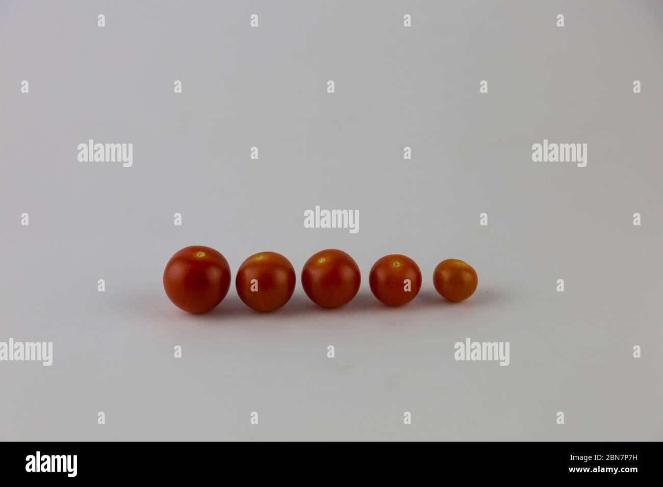 organically grown cherry tomatoes Stock Photo - Alamy