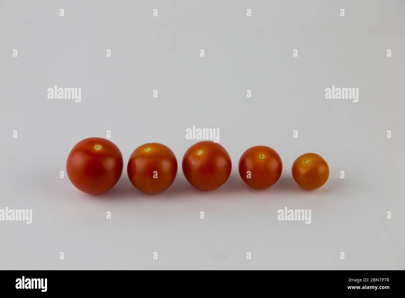 organically grown cherry tomatoes Stock Photo - Alamy