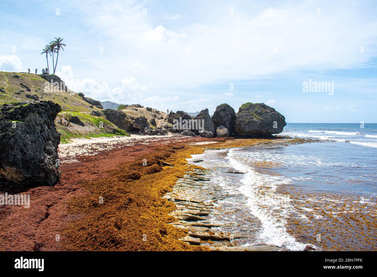 Bathsheba east coast barbados hi-res stock photography and images - Alamy