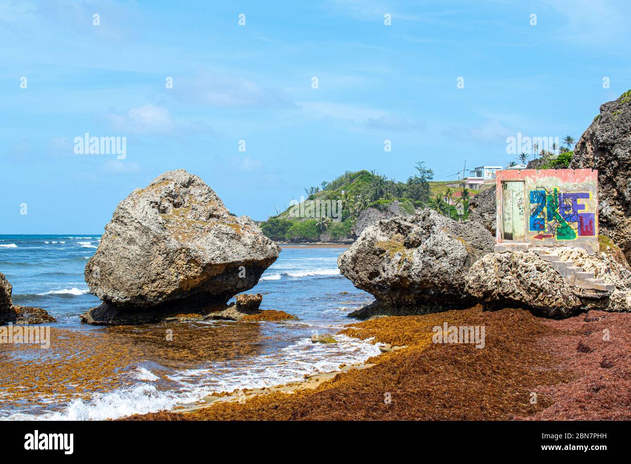 This is the rugged east coast of Barbados, where visitors come to ...