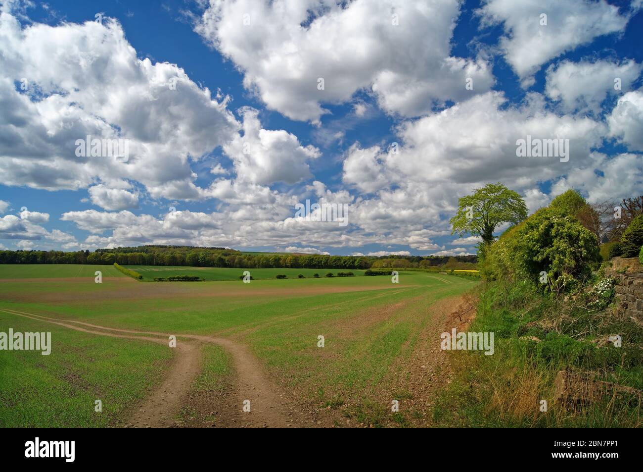 UK,West Yorkshire,Wakefield,Notton, Countryside looking South West from ...