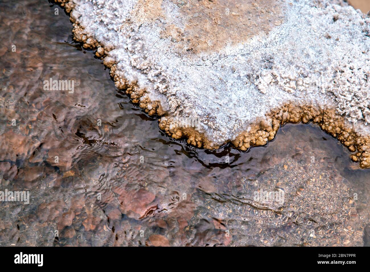 Close-up of crystallised salt and saline water at salt pools of Maras ...