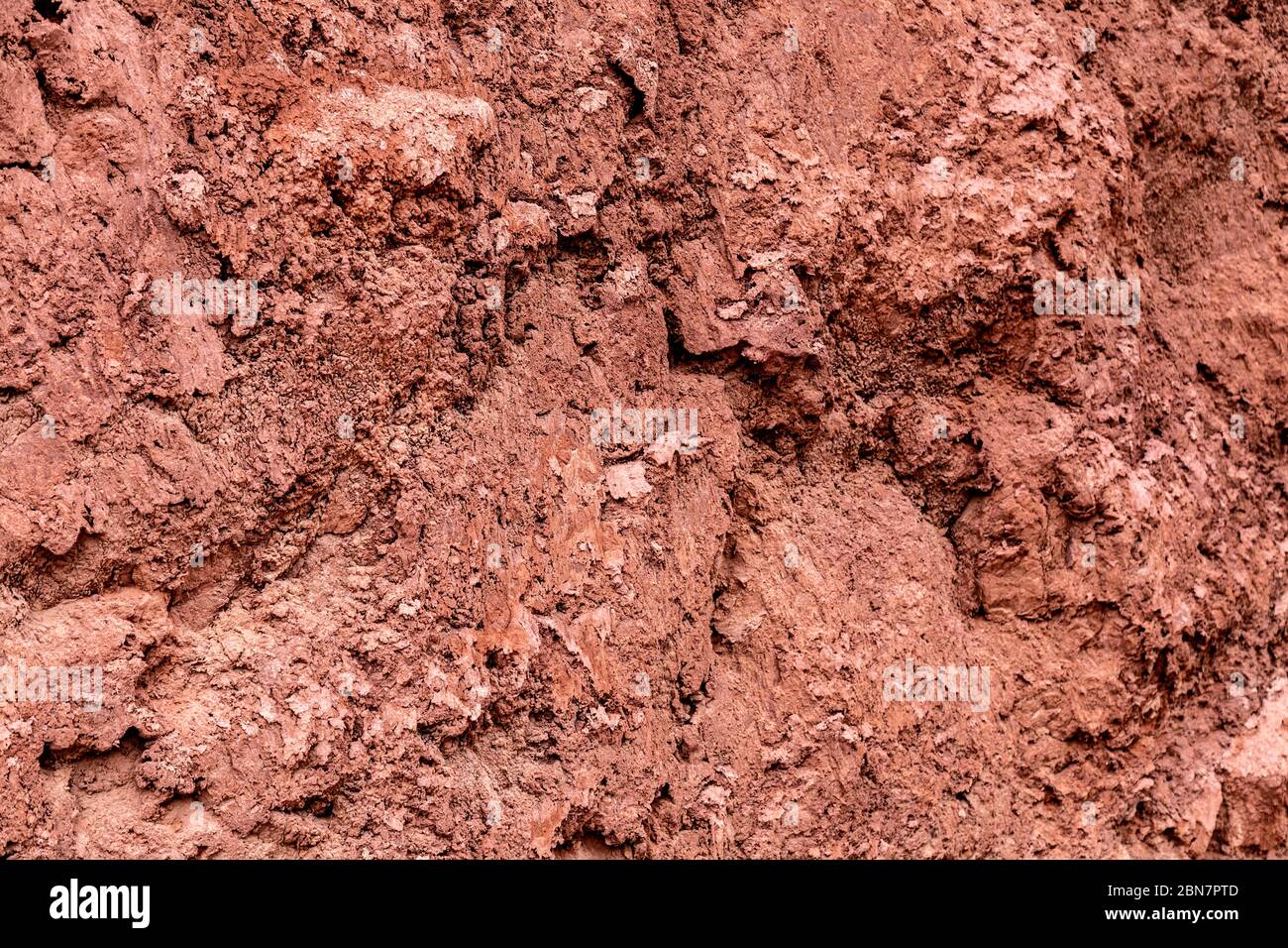 Per rocks in Maras Salt pools area, Sacred Valley, Peru Stock Photo - Alamy