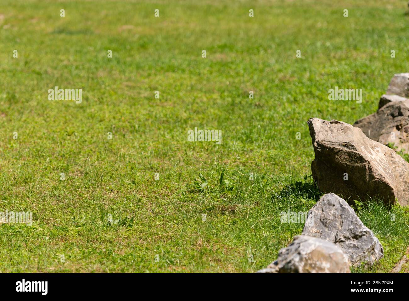 Lawn and rocks on the edge. A normal public lawn. Sharp stones are ...