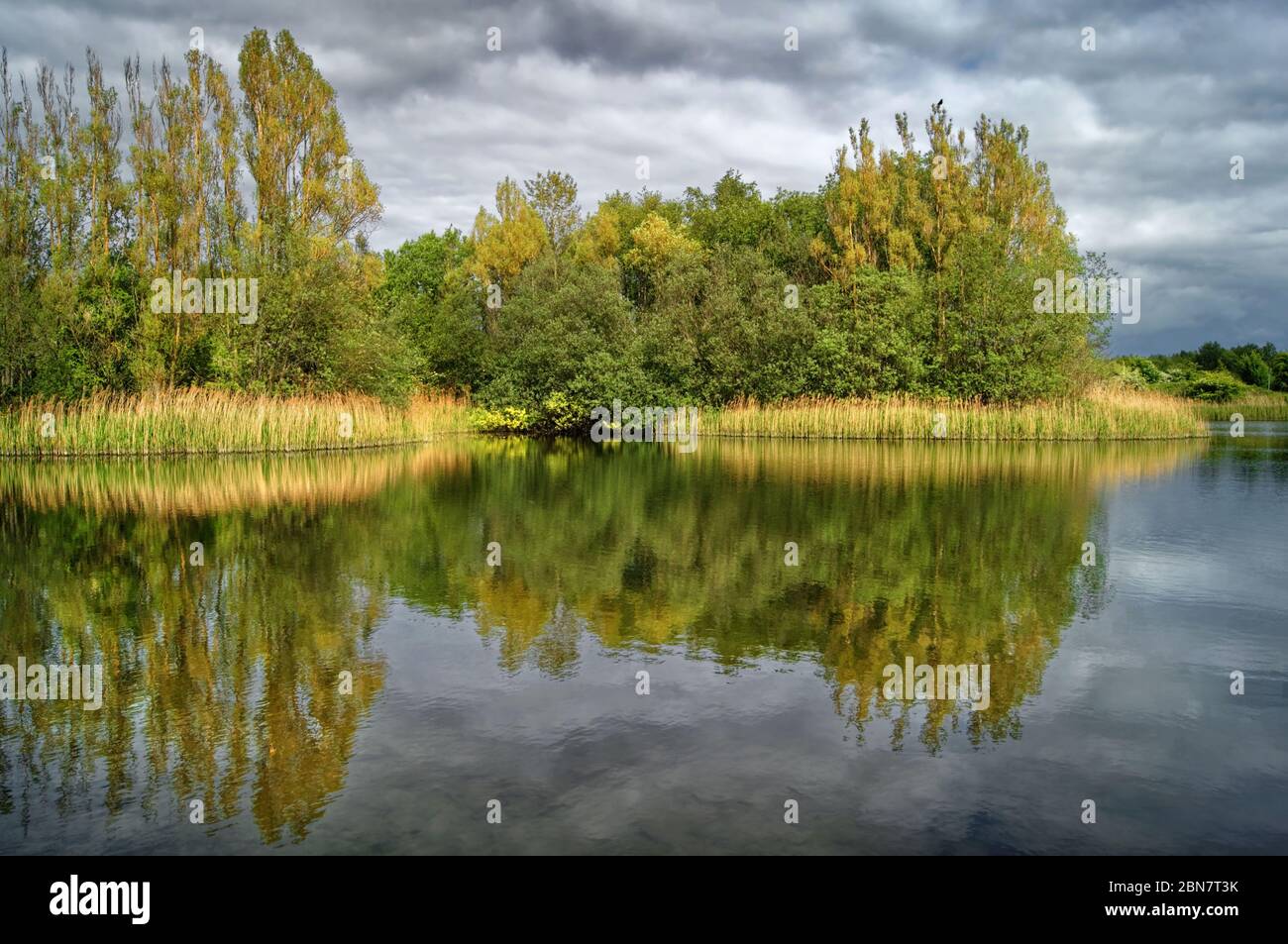 UK,West Yorkshire,Wakefield,Walton Colliery Nature Park Stock Photo - Alamy