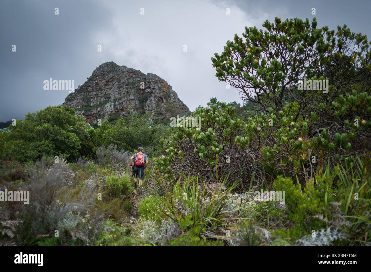 Devils Peak in Table Mountain National Park, Cape Town, South Africa ...