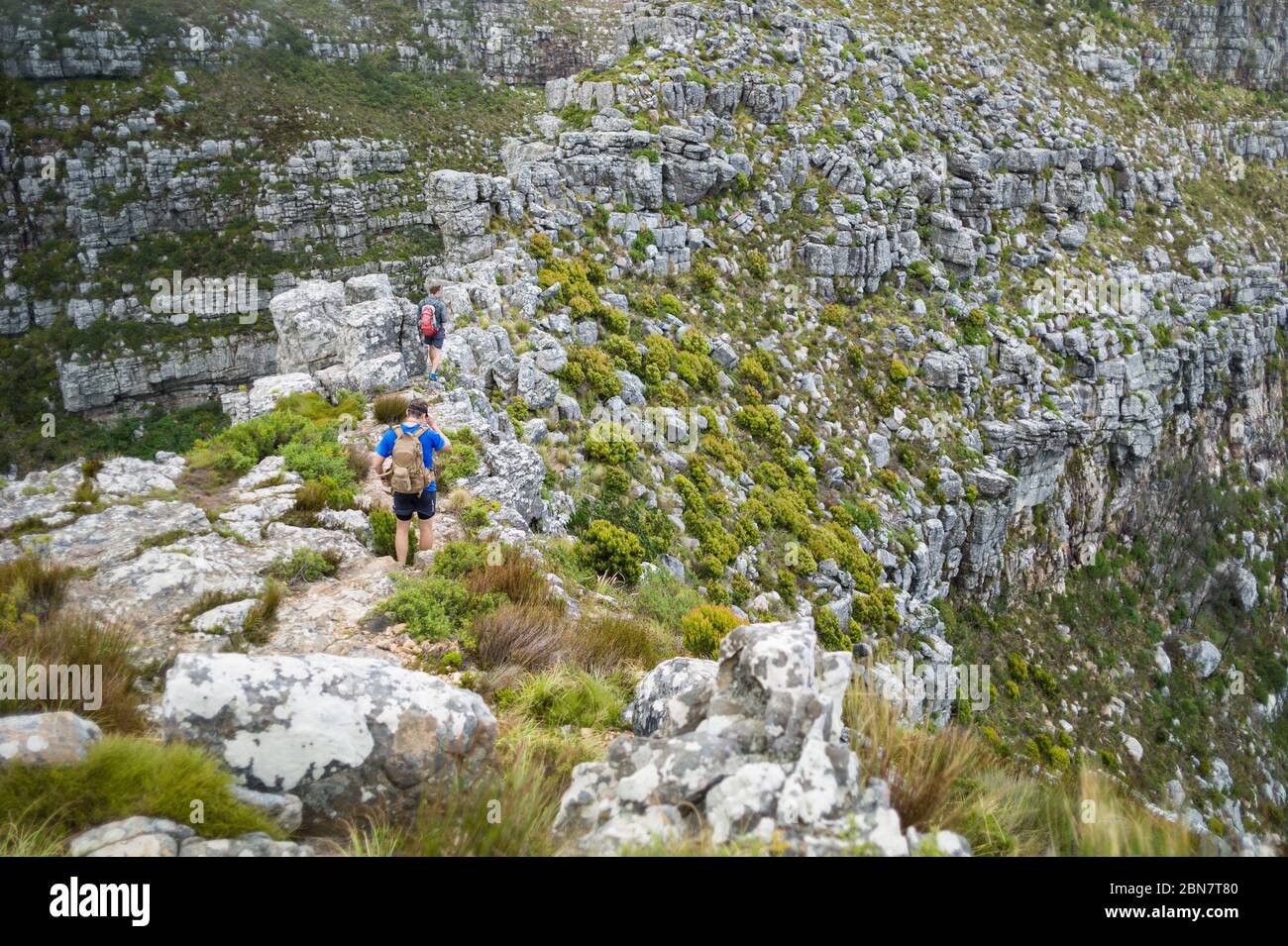 Devils Peak in Table Mountain National Park, Cape Town, South Africa ...