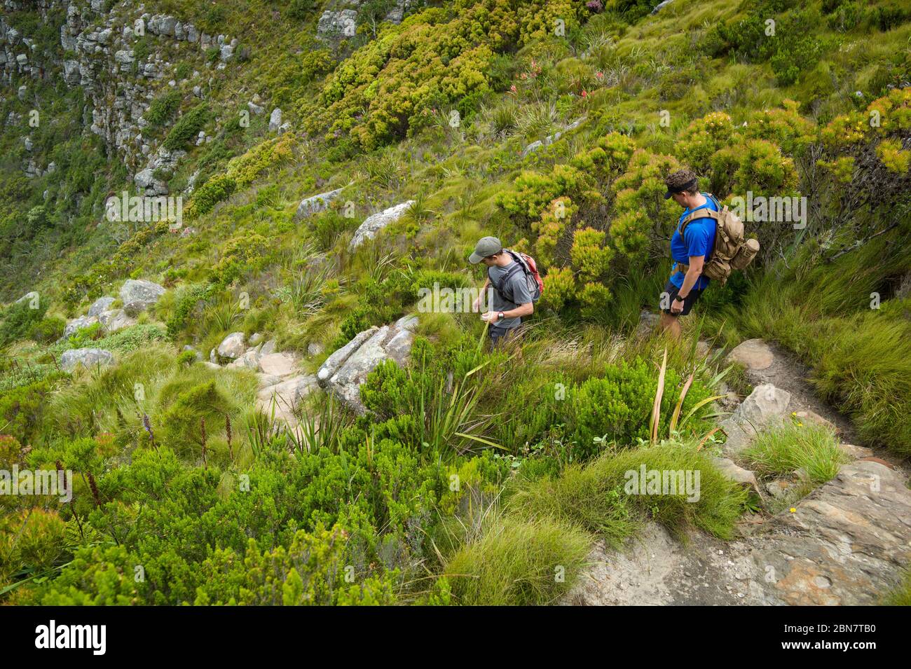 Devils Peak in Table Mountain National Park, Cape Town, South Africa ...