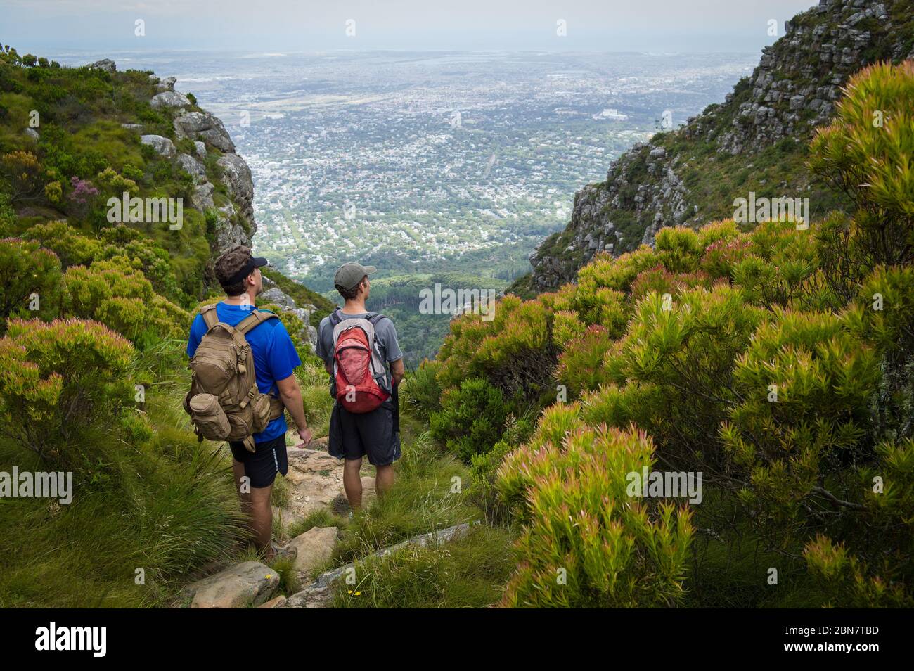 Devils Peak in Table Mountain National Park, Cape Town, South Africa ...
