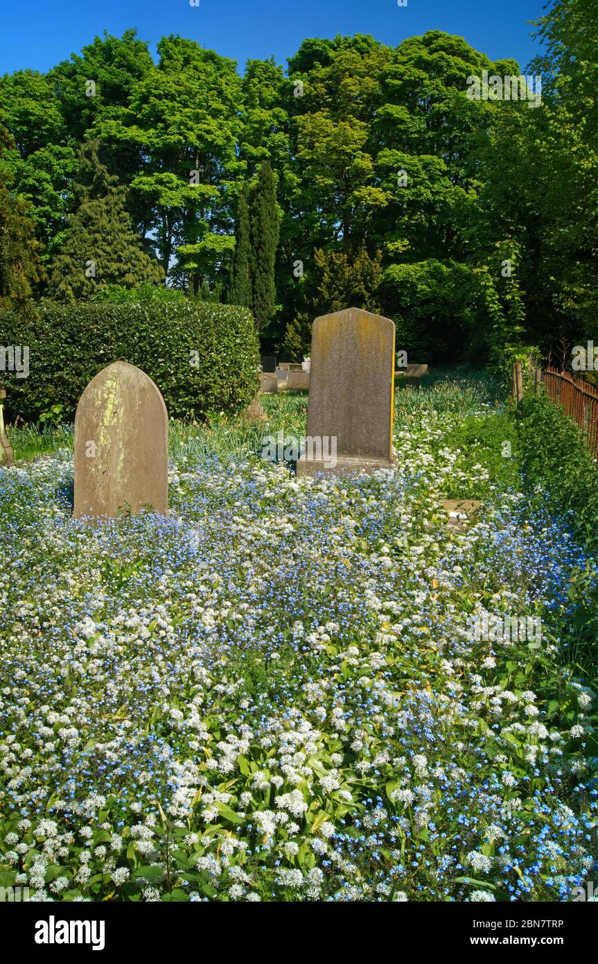 Brodsworth church hi-res stock photography and images - Alamy