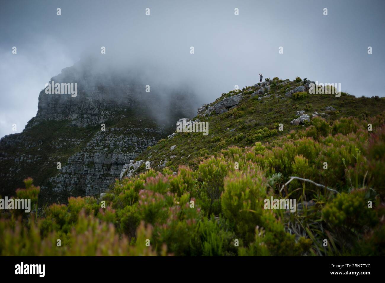 Devils Peak in Table Mountain National Park, Cape Town, South Africa ...