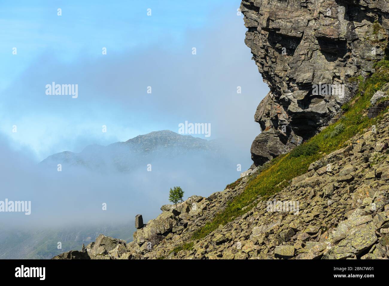 Human face shaped rock in Rogaland, Norway, road fv520 Stock Photo - Alamy