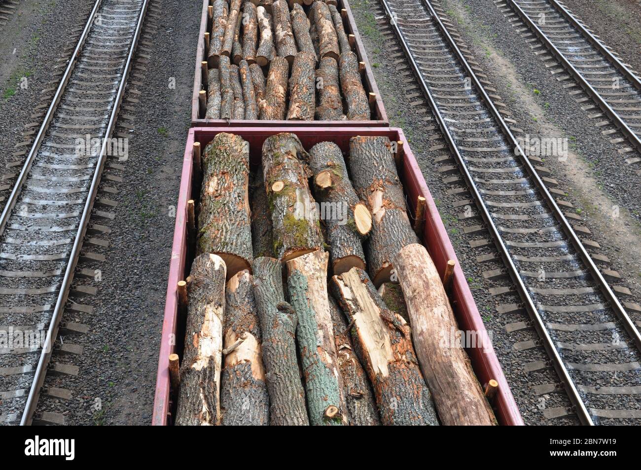 Freight wagons with stacks of timber on the railway. View from above ...