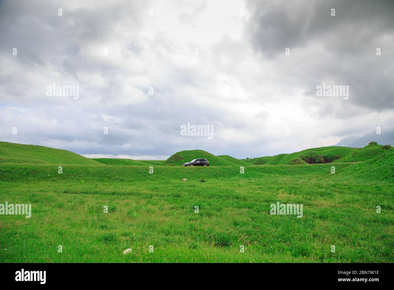 Landscape summer and spring. Bright green grass on the round hills ...